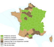 Sonneur Ventre Jaune Observatoire De La Biodiversit Des For ts Sonneur Ventre Jaune Observatoire De La Biodiversit Des For ts